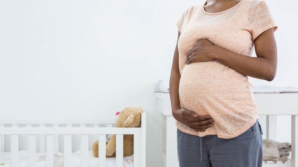 Embryo vs Fetus: What’s the Difference? | Peanut