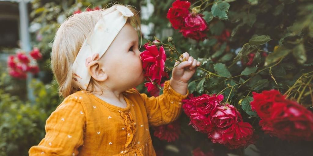 80 Baby Names That Mean Rose for Your Flower Child | Peanut